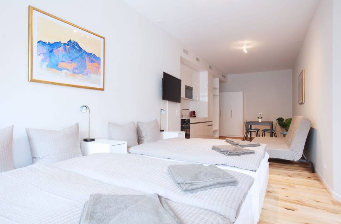 45 M² Appartement ∙ 4 Personnes - Bâle