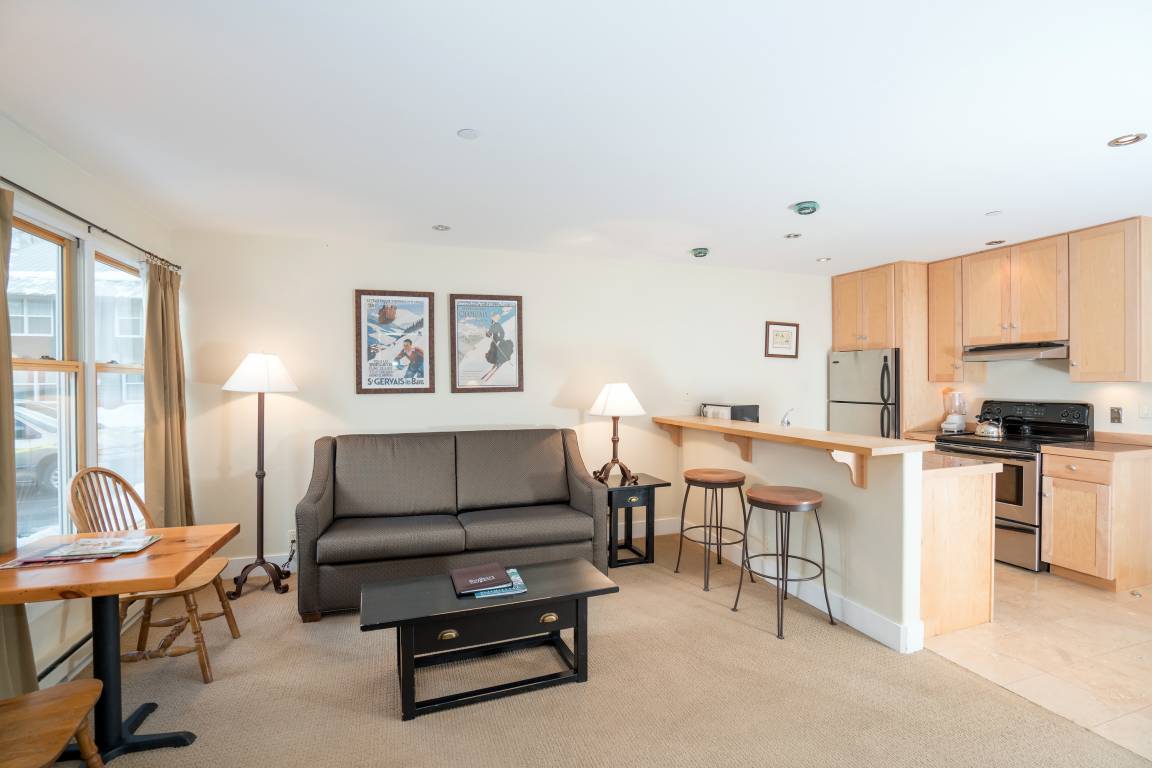 53 M² Condo ∙ 1 Bedroom ∙ 4 Guests - Telluride, CO