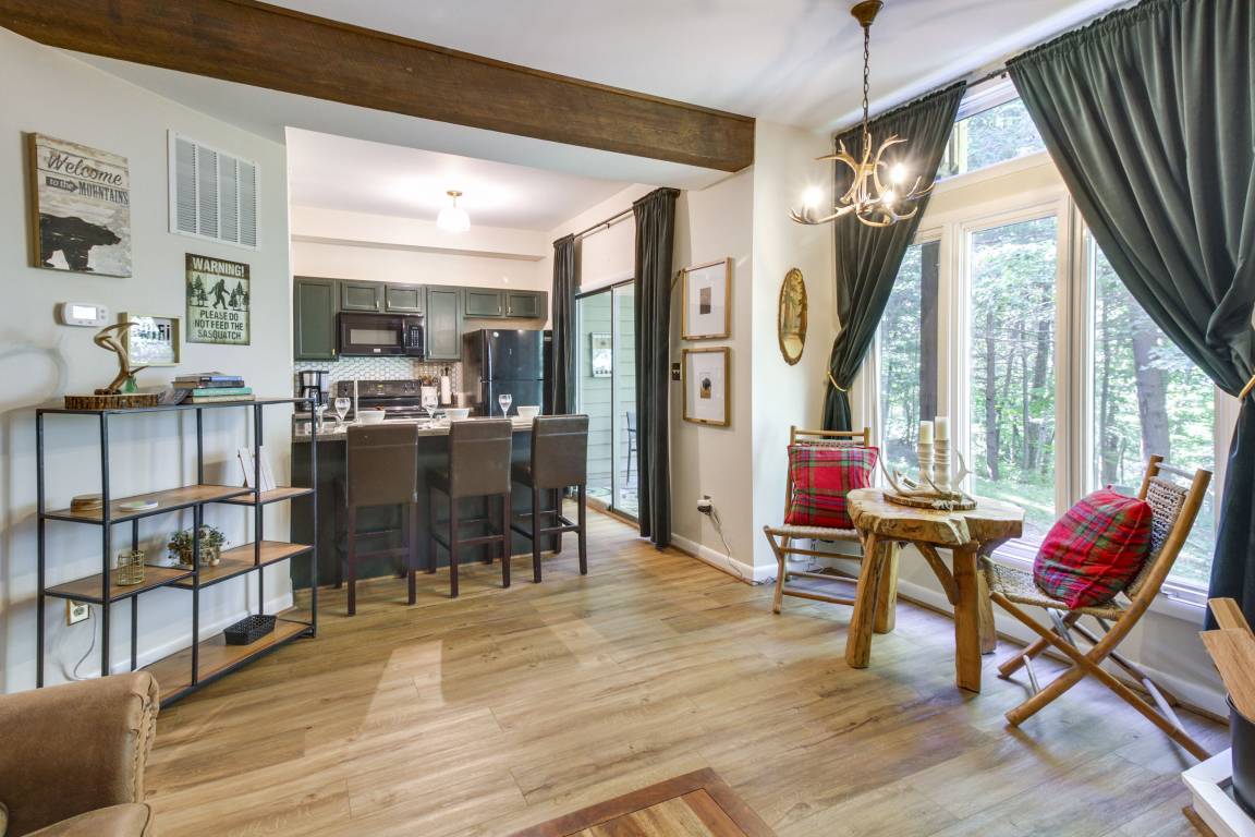 60 M² Apartment ∙ 1 Bedroom ∙ 4 Guests - Wintergreen, VA
