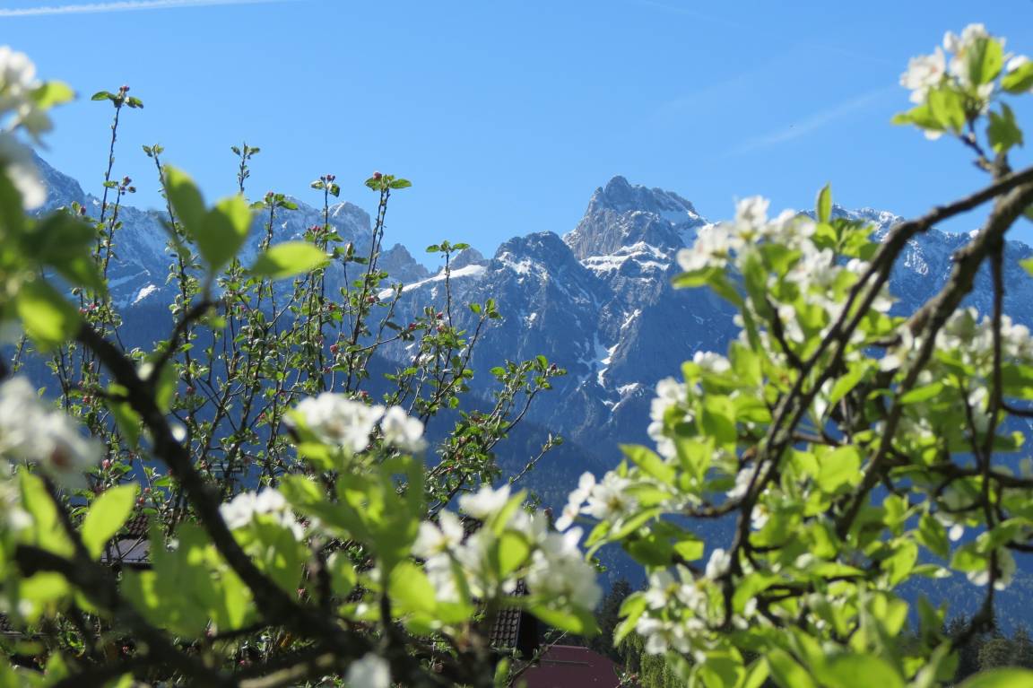 63 M² Apartment ∙ 2 Bedrooms ∙ 4 Guests - Walchensee