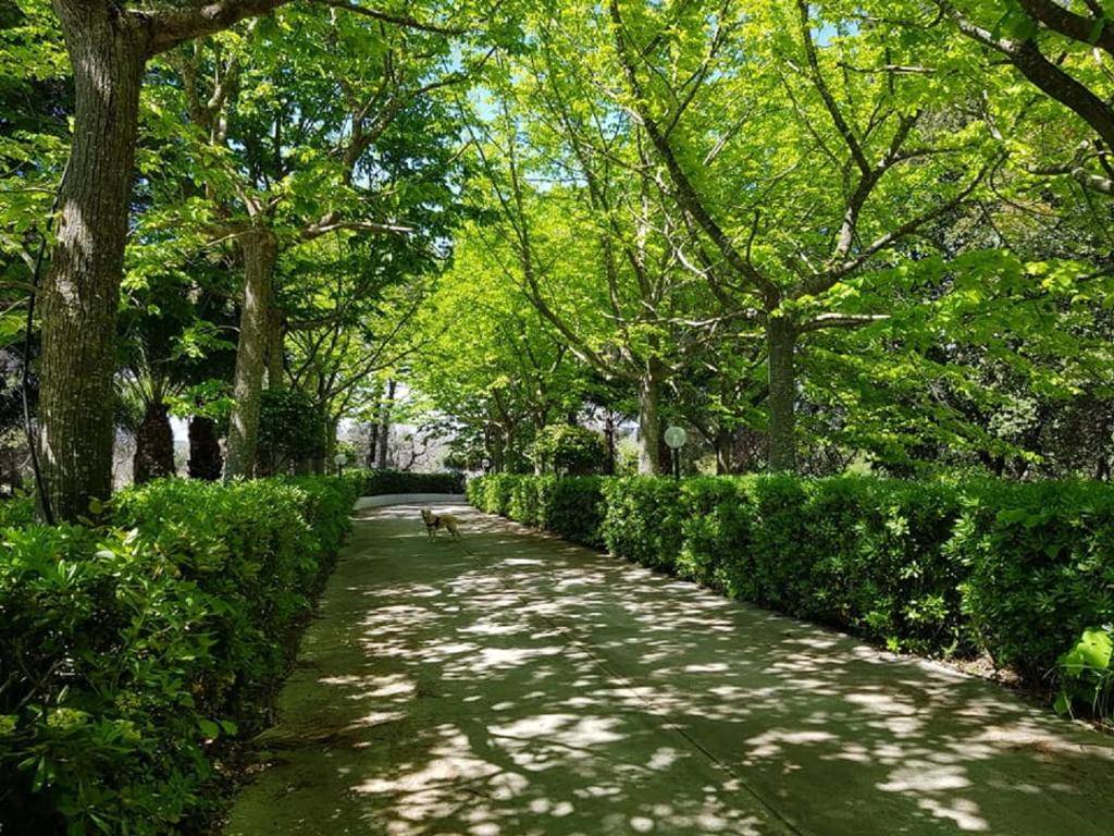 Villa ∙ 3 Chambres ∙ 10 Personnes - Matino