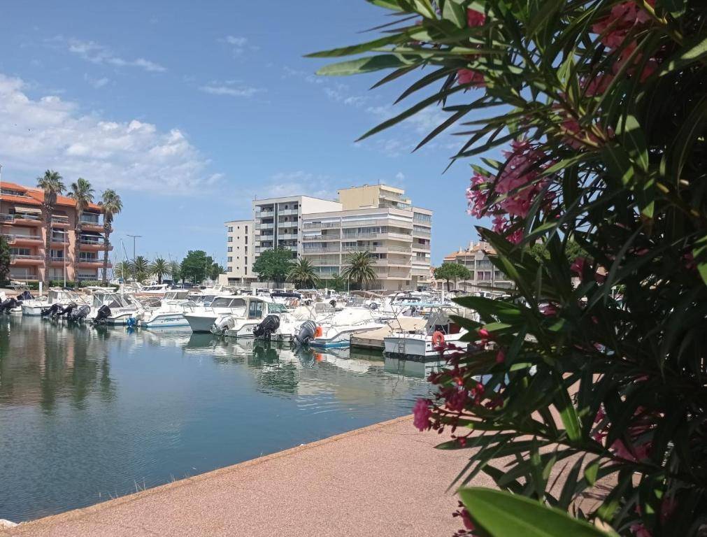 35 M² Apartment ∙ 1 Bedroom ∙ 4 Guests - Perpignan
