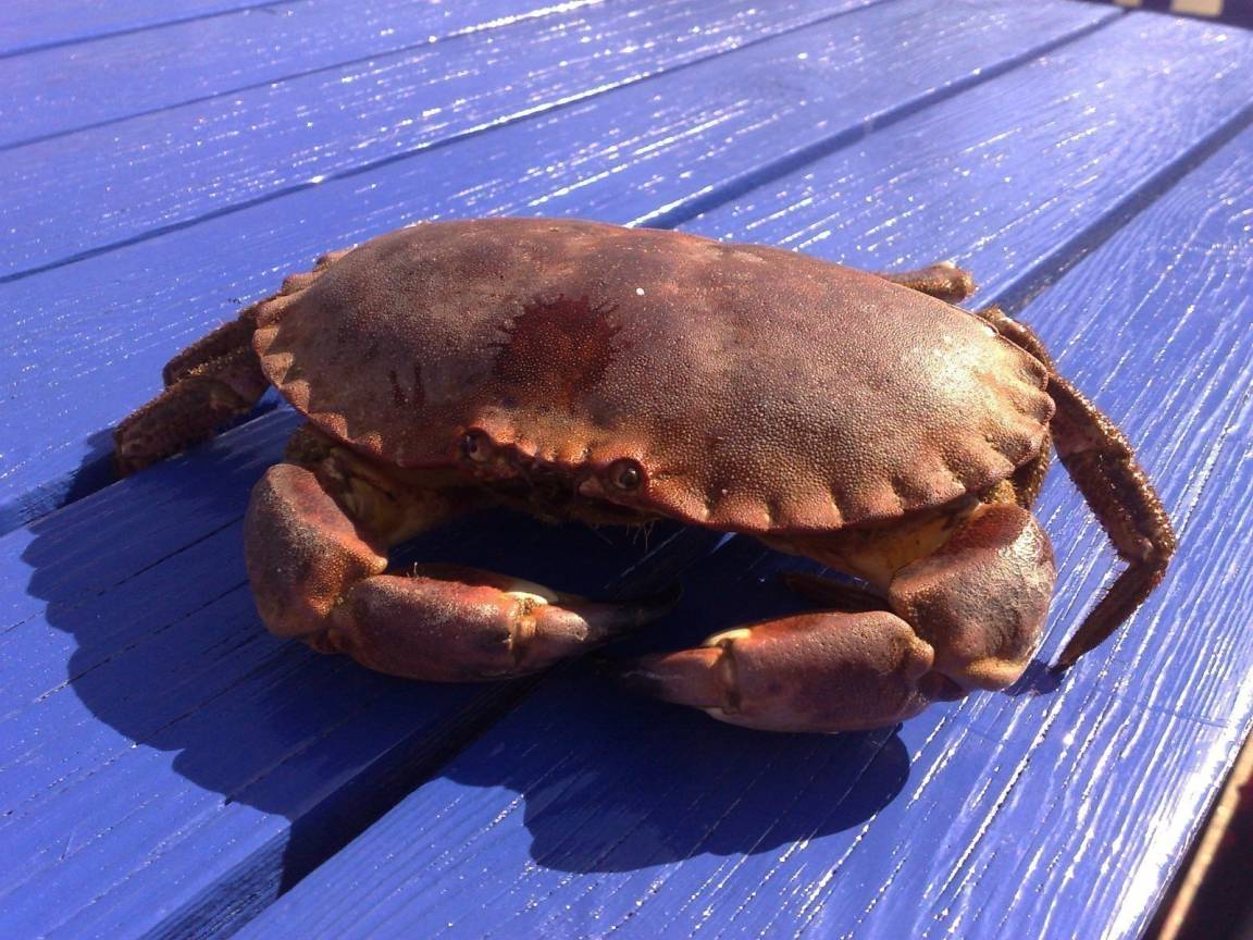 58 M² House ∙ 2 Bedrooms ∙ 8 Guests - Kristiansand