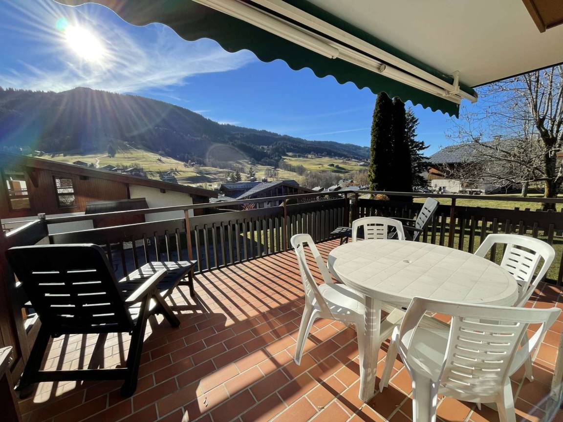 23 M² Studio Flat ∙ 1 Bedroom ∙ 4 Guests - Praz-sur-Arly