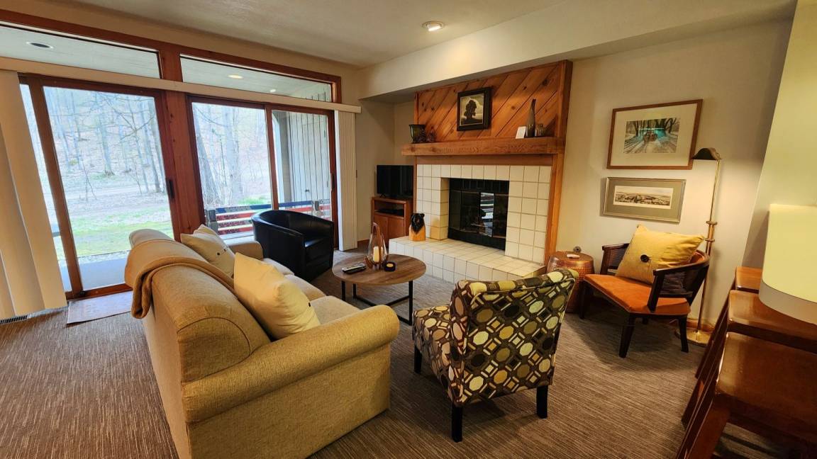 Condo ∙ 1 Bedroom ∙ 4 Guests - Harbor Springs, MI