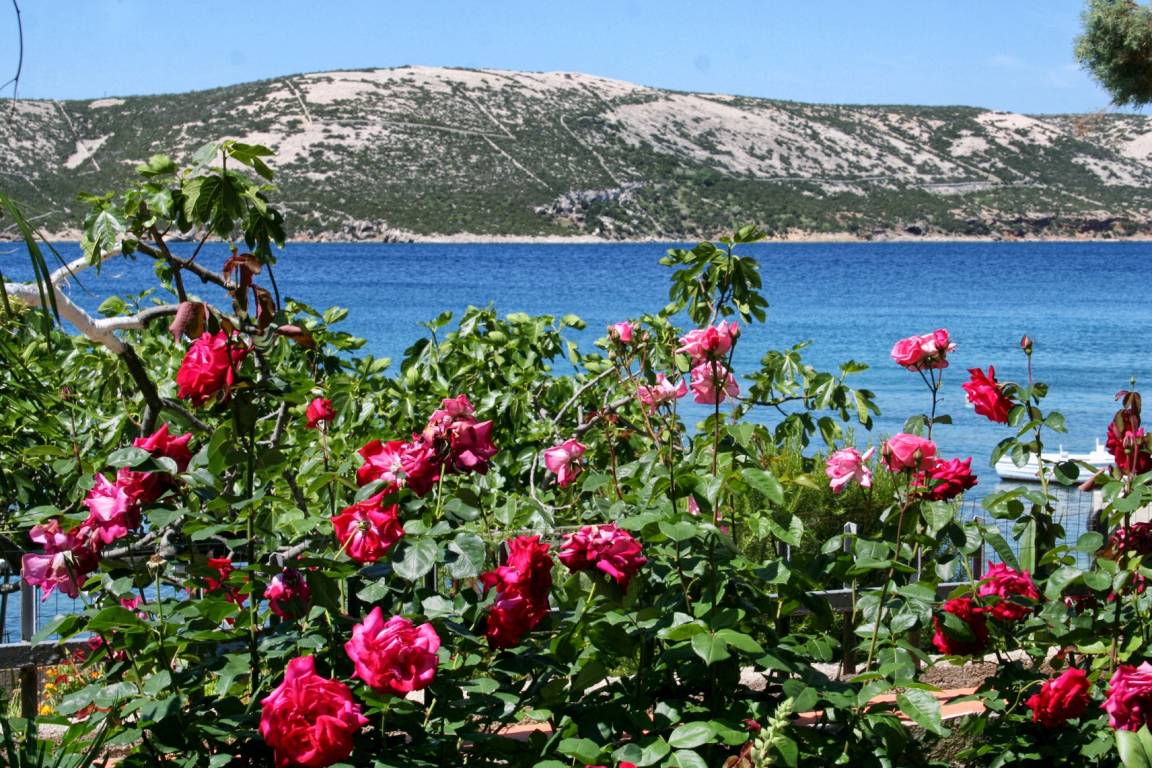 41 M² Appartement ∙ 2 Chambres ∙ 7 Personnes - Novalja