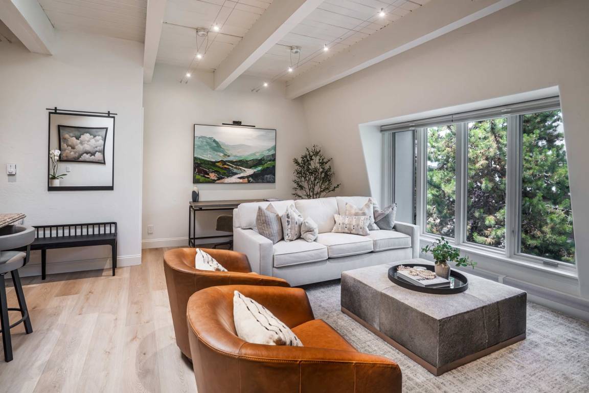 Apartamento ∙ 2 Habitaciones ∙ 6 Huéspedes - Aspen, CO