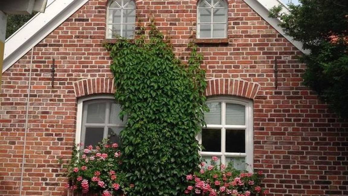 70 M² Ferienhaus ∙ 2 Schlafzimmer ∙ 4 Gäste - Emden