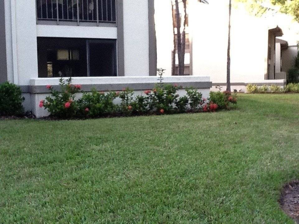 86 M² Condo ∙ 2 Bedrooms ∙ 4 Guests - Safety Harbor, FL