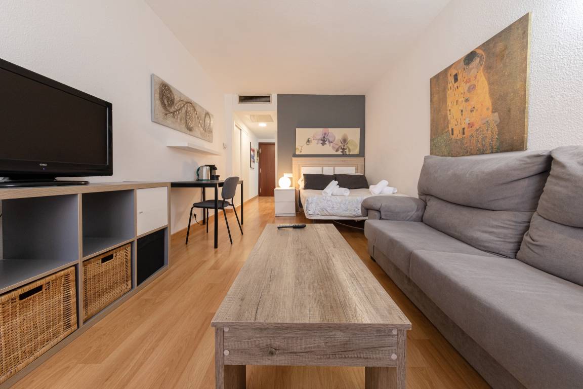 40 M² Apartment ∙ 1 Bedroom ∙ 2 Guests - Seville, Spain