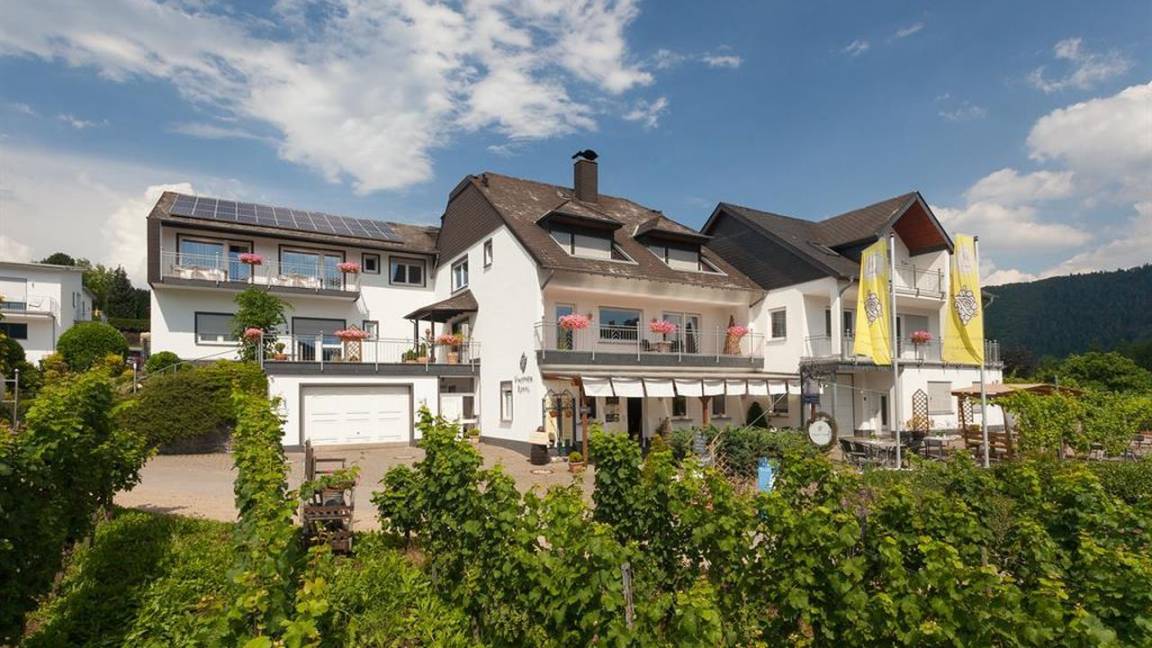 60 M² Apartment ∙ 1 Bedroom ∙ 2 Guests - Traben-Trarbach