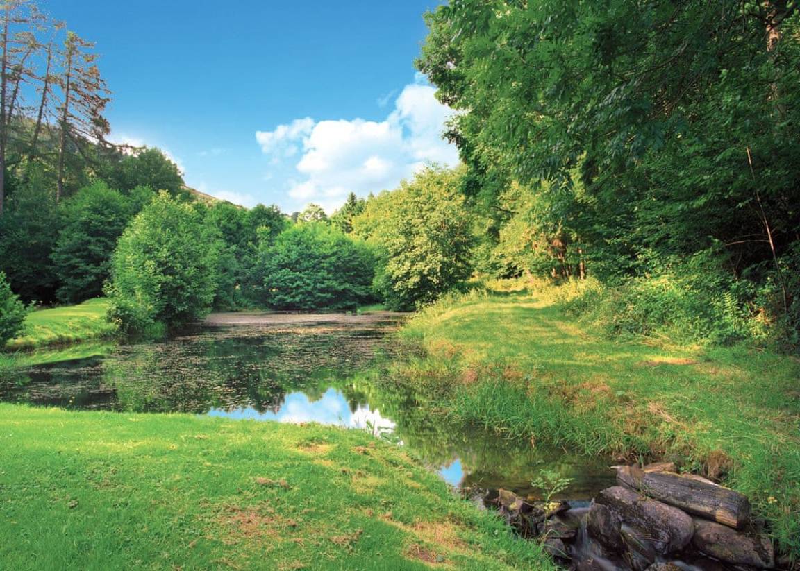 Chalet ∙ 4 Bedrooms ∙ 8 Guests - Llangollen