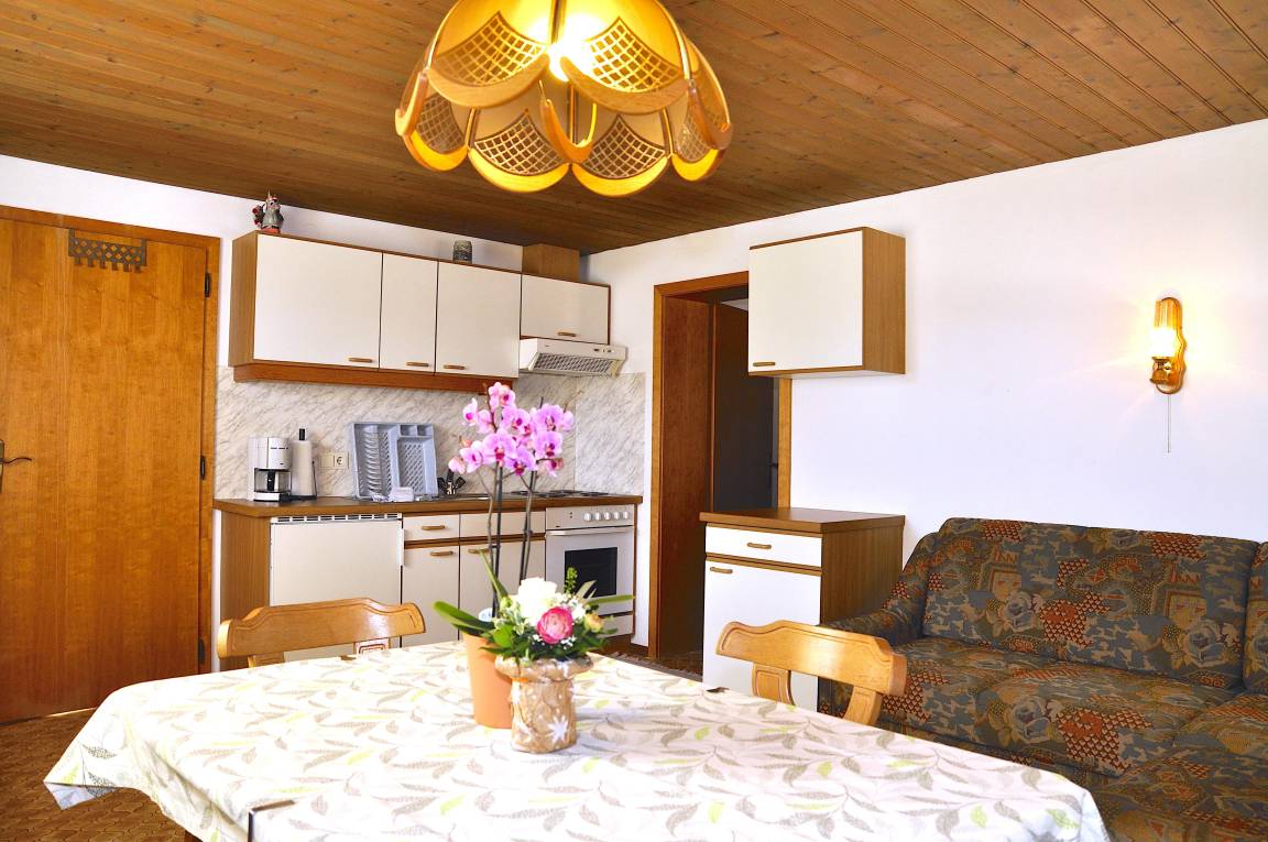 40 M² Apartament ∙ 1 Sypialnia ∙ 4 Gości - Fieberbrunn