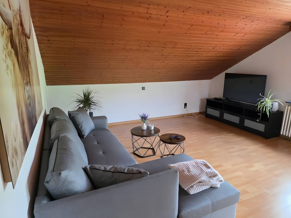 65 M² Apartment ∙ 1 Bedroom ∙ 4 Guests - Albbruck