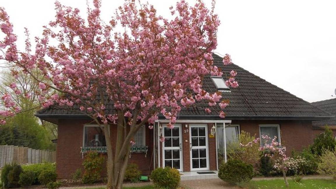 83 M² Ferienwohnung ∙ 2 Schlafzimmer ∙ 6 Gäste - Sierksdorf