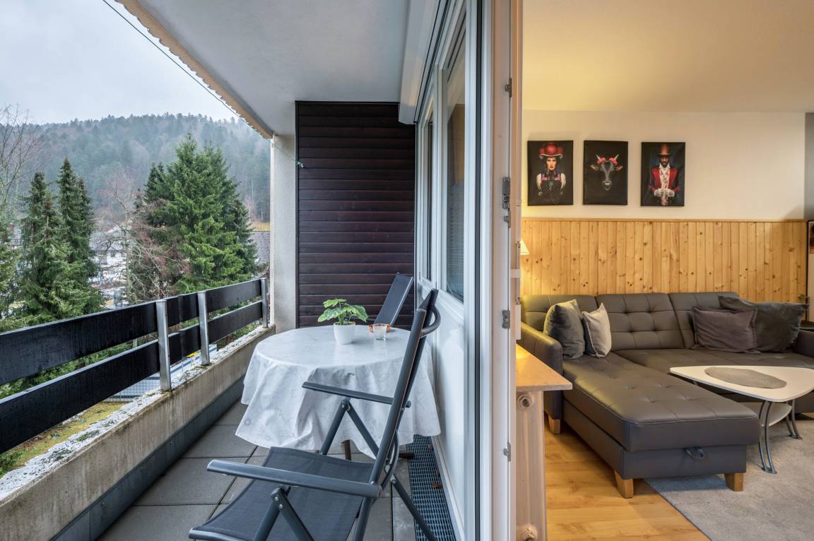 38 M² Studio ∙ 3 Gäste - Todtnau