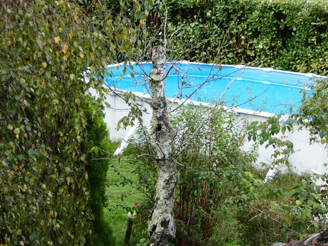 100 M² Gîte ∙ 3 Chambres ∙ 6 Personnes - Nouvelle-Aquitaine