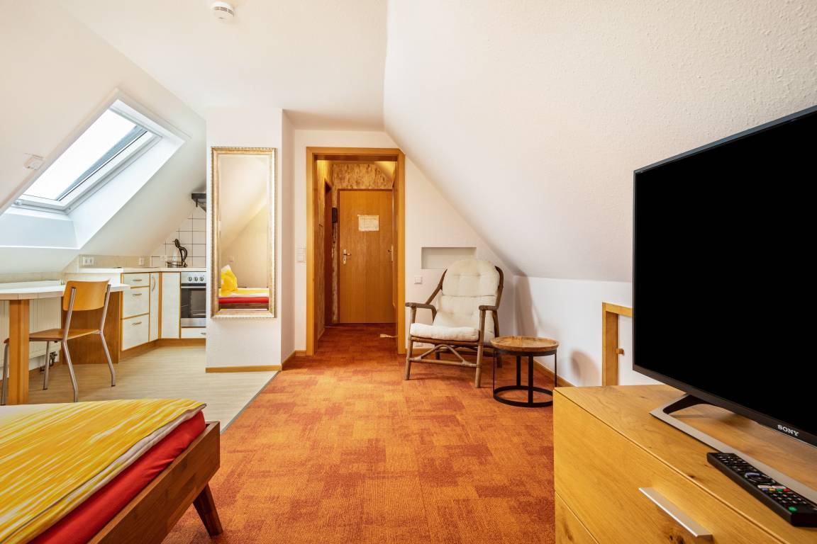 30 M² Apartamento ∙ 1 Habitación ∙ 1 Huésped - Friedrichshafen