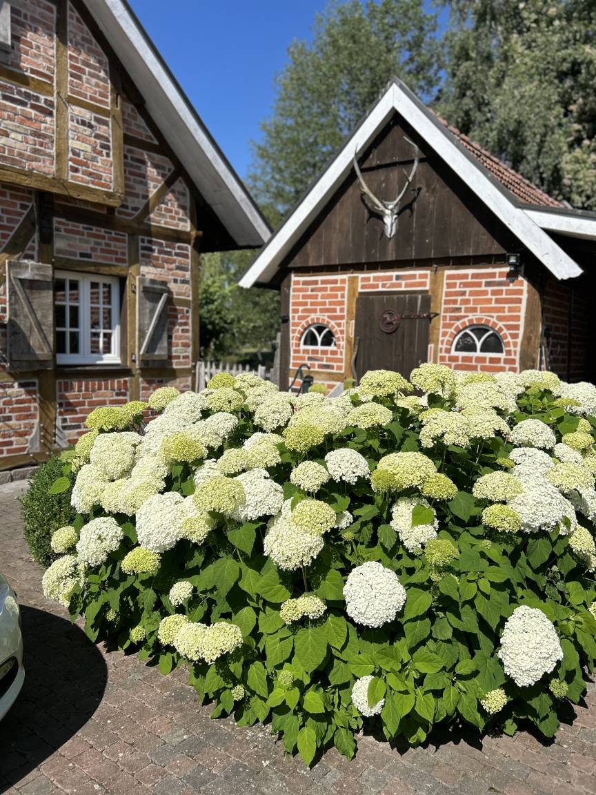 100 M² House ∙ 1 Bedroom ∙ 3 Guests - Telgte