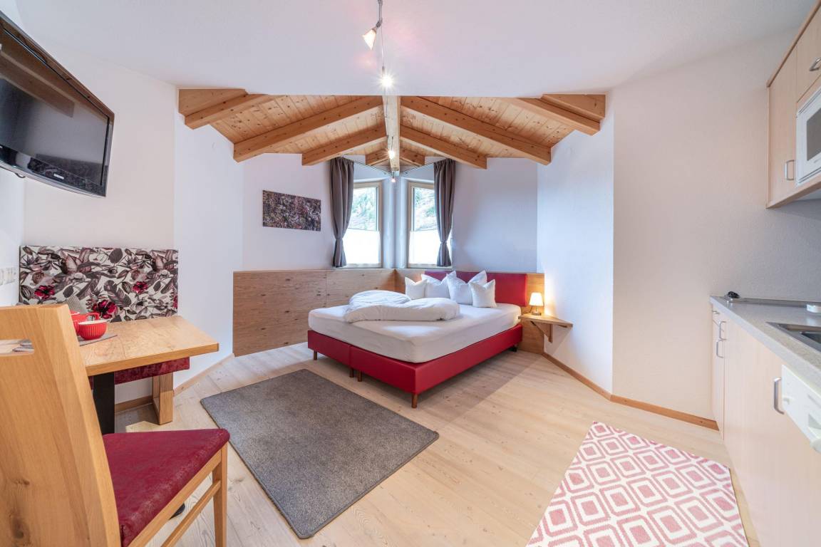 26 M² Studio ∙ 1 Schlafzimmer ∙ 2 Gäste - Obergurgl