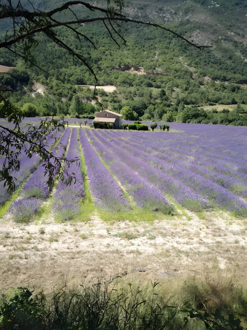 24 M² Casa Móvel ∙ 2 Quartos ∙ 6 Hóspedes - Drôme