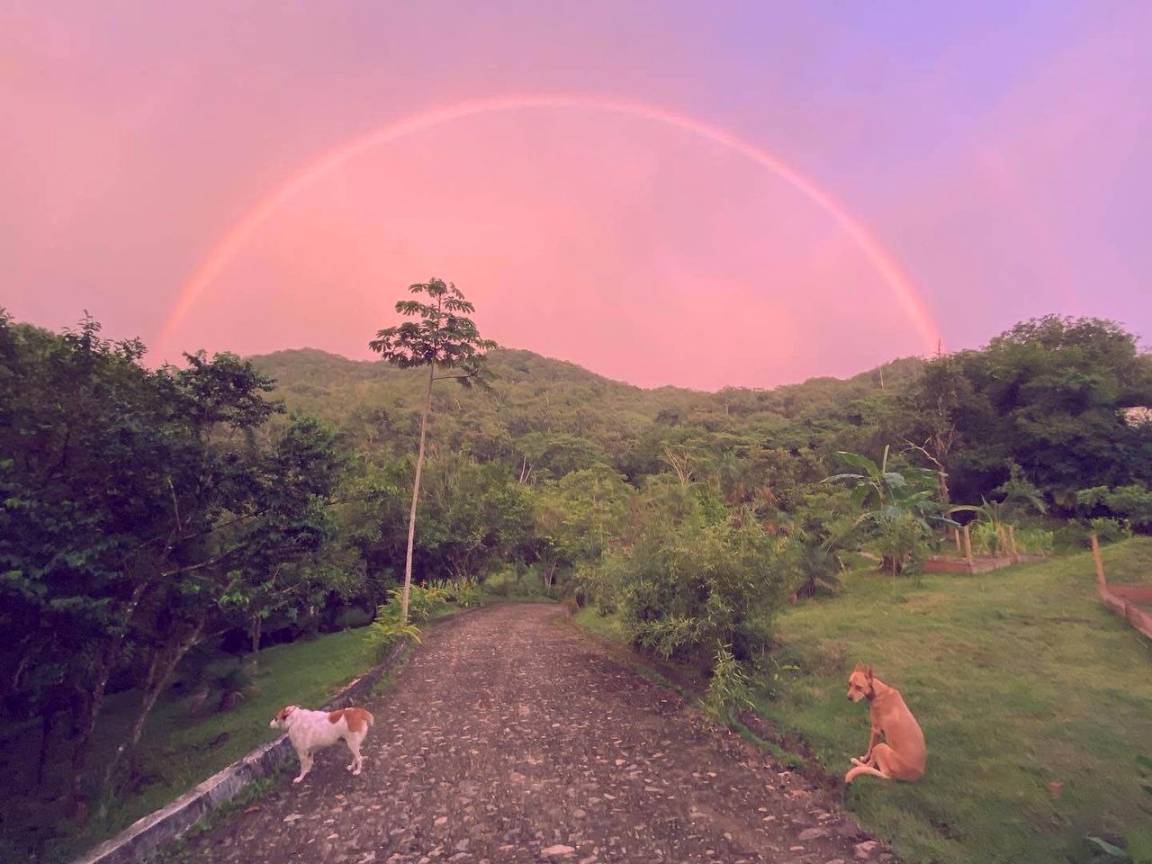 Acampamento ∙ 1 Quarto ∙ 2 Hóspedes - Puerto Vallarta