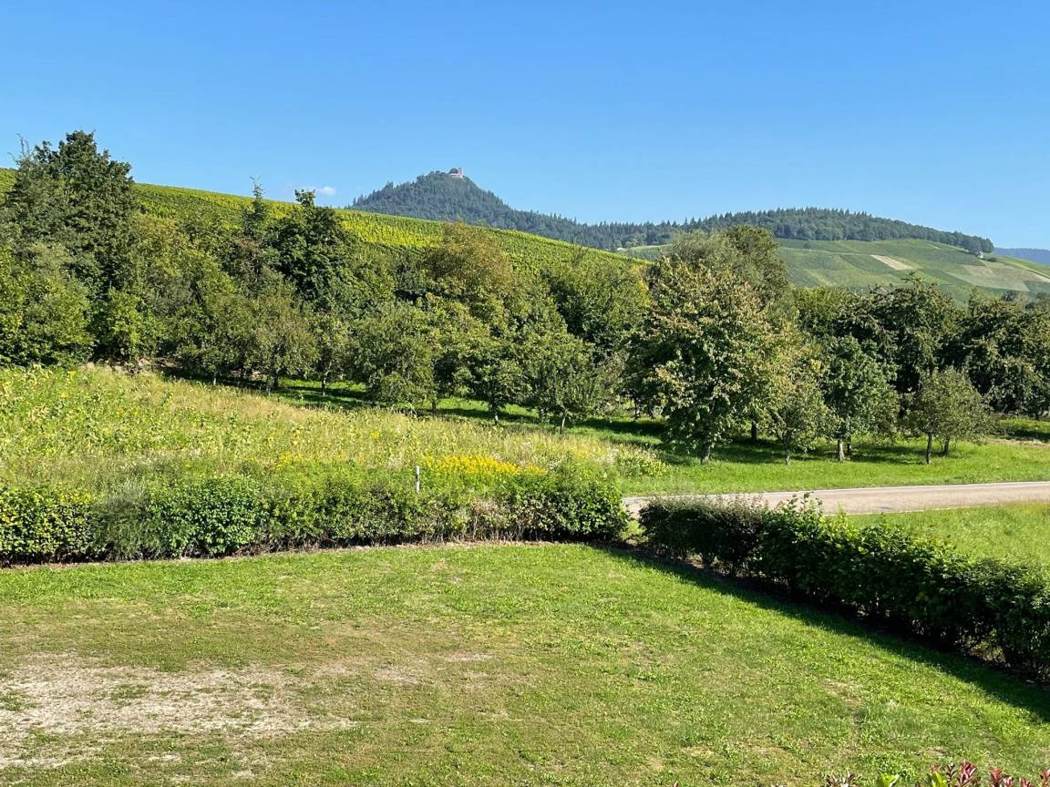 115 M² Ferienwohnung ∙ 2 Schlafzimmer ∙ 4 Gäste - Bühlertal