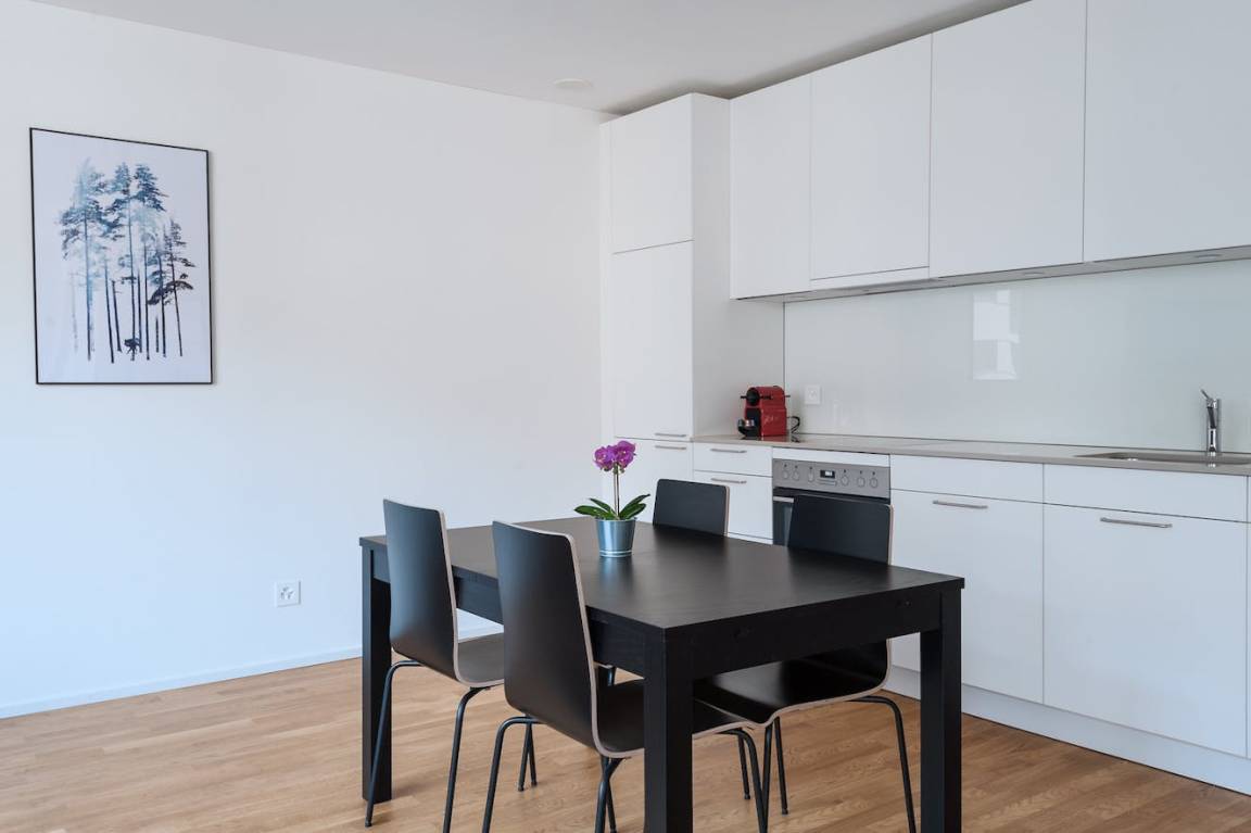 52 M² Apartment ∙ 1 Bedroom ∙ 2 Guests - Basel