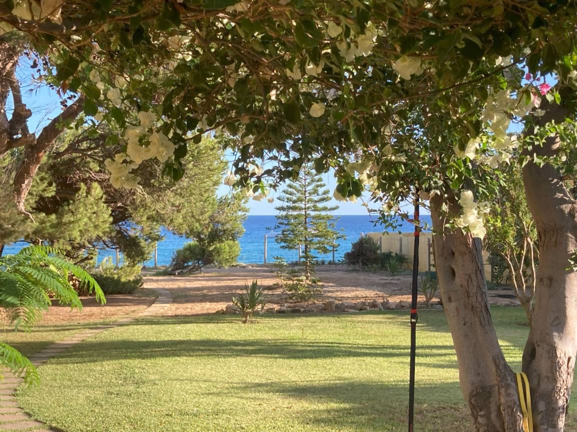 28 M² Apartment ∙ 1 Bedroom ∙ 2 Guests - Porto Santo Island