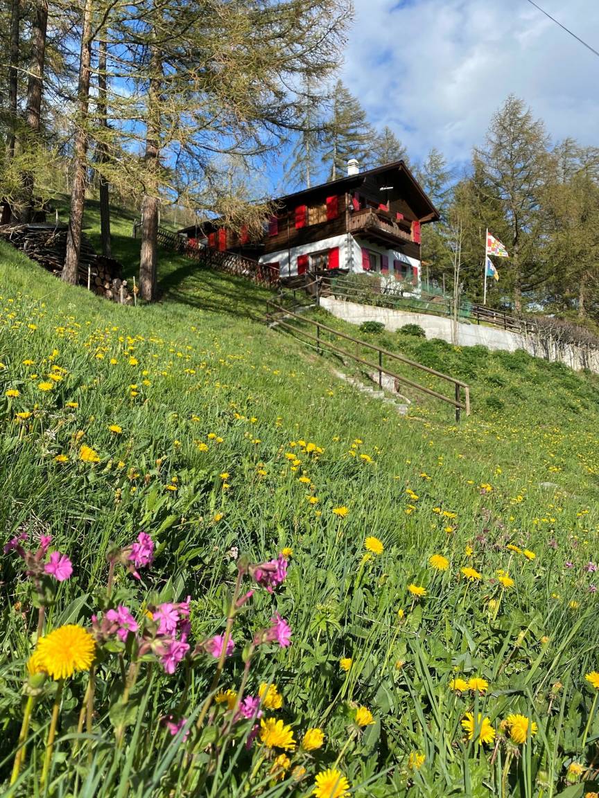 80 M² Ferienwohnung ∙ 2 Schlafzimmer ∙ 6 Gäste - Bürchen