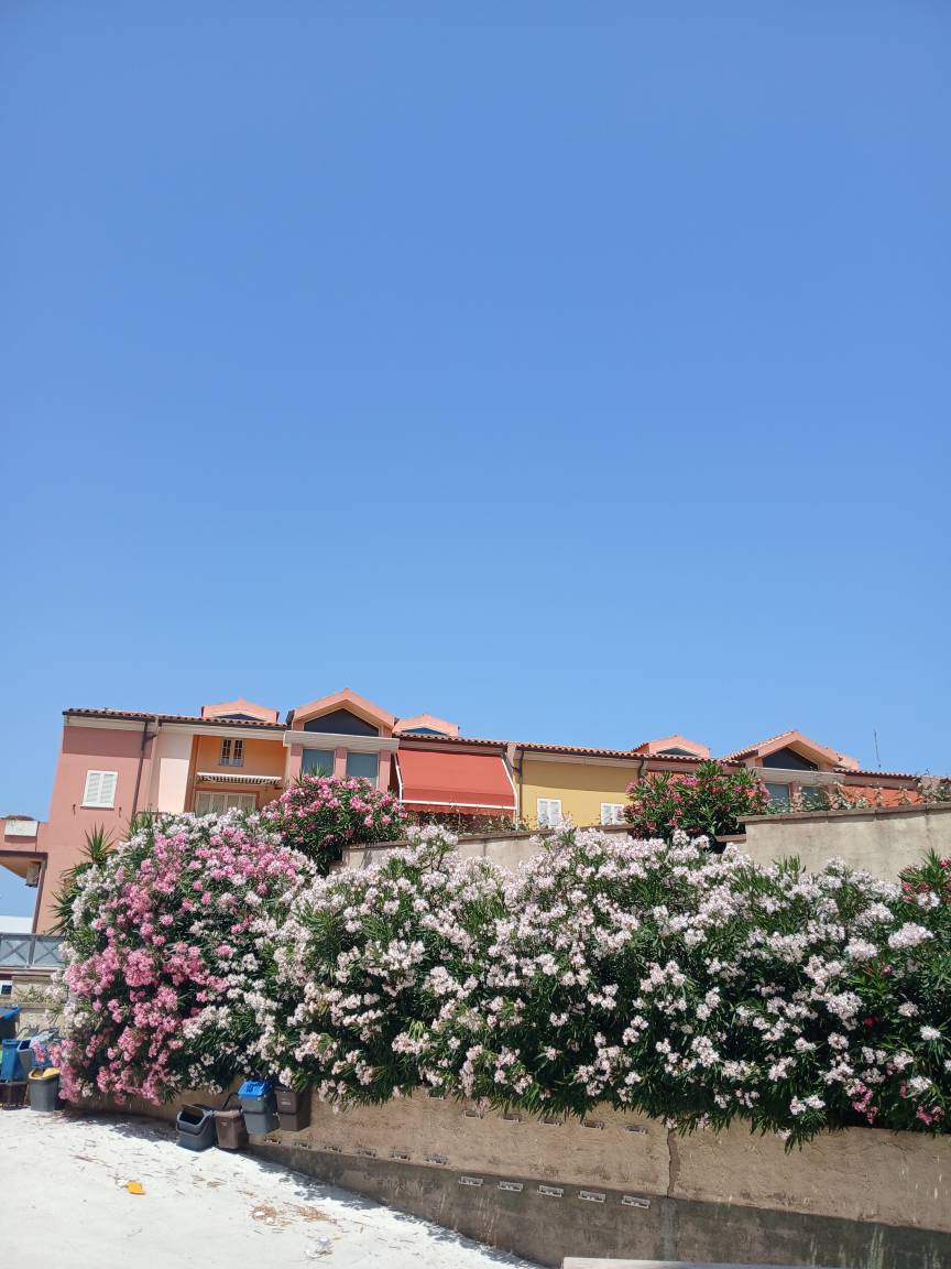 Apartamento ∙ 1 Habitación ∙ 4 Huéspedes - Olbia