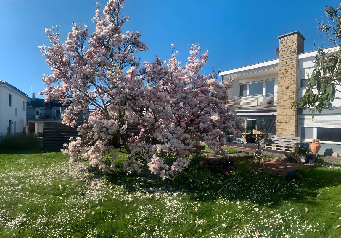 72 M² Ferienwohnung ∙ 1 Schlafzimmer ∙ 4 Gäste - Gaienhofen