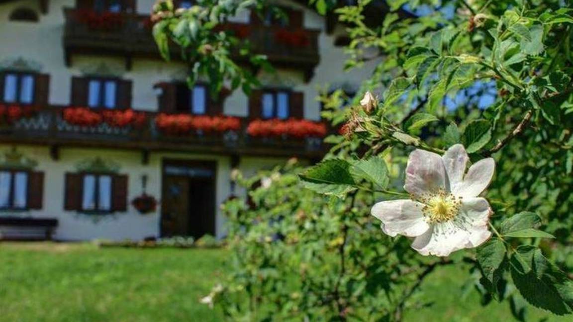 30 M² Apartment ∙ 2 Guests - Tegernsee