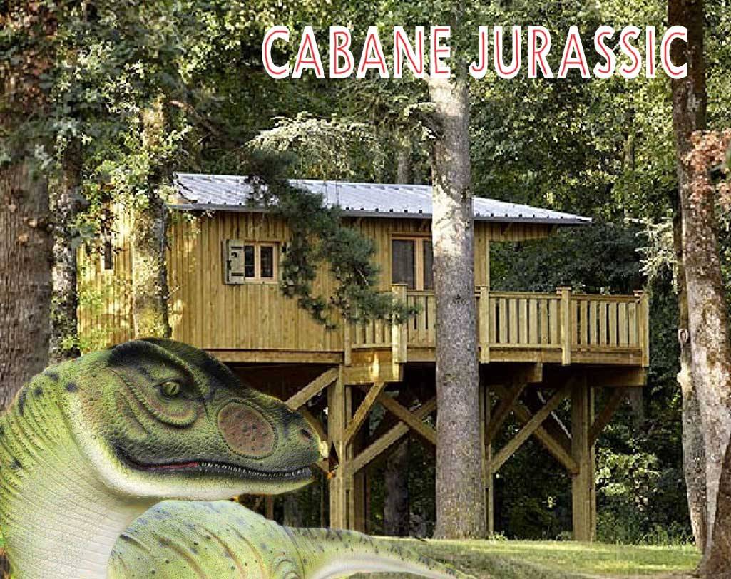 35 M² Gîte ∙ 2 Chambres ∙ 4 Personnes - Saint-Antonin-Noble-Val