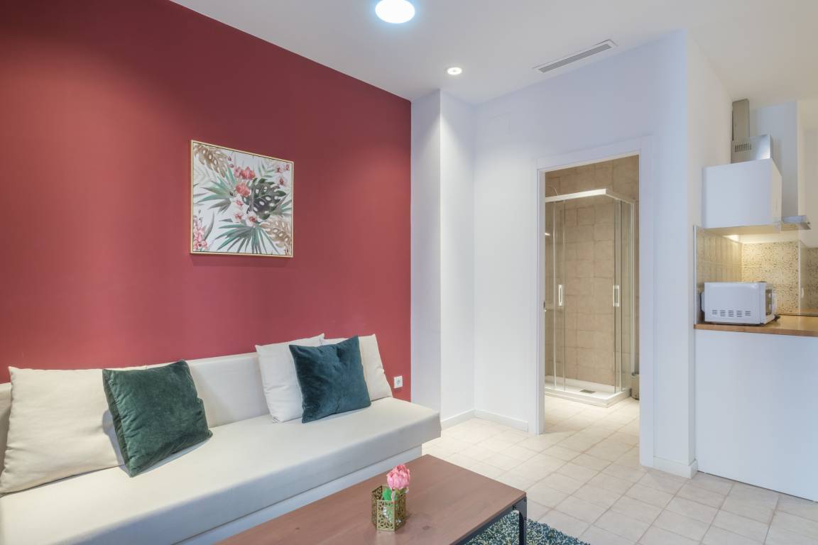45 M² Aparthotel ∙ 1 Bedroom ∙ 3 Guests - Valencia