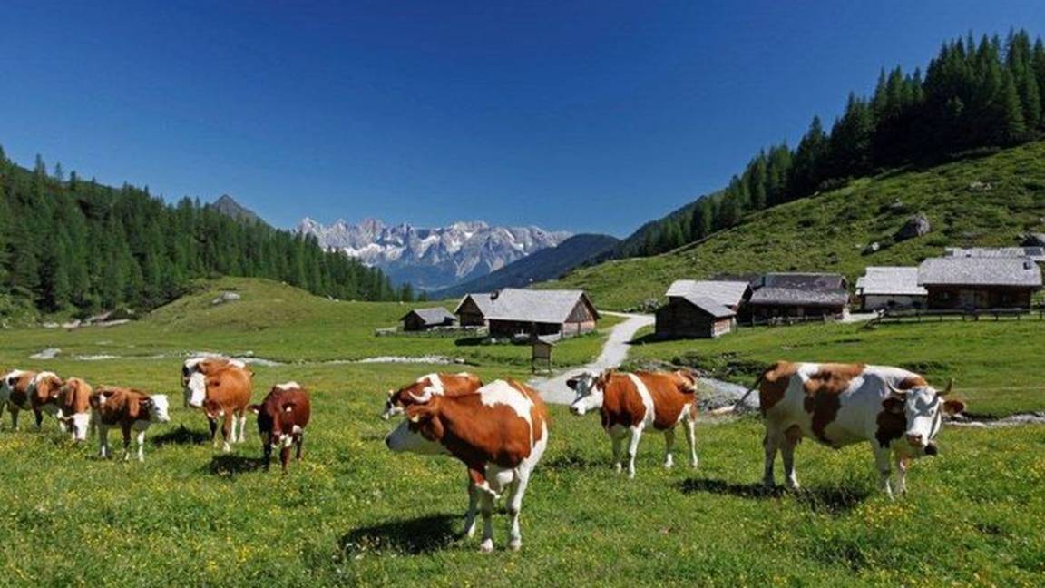 60 M² Apartment ∙ 2 Bedrooms ∙ 5 Guests - Schladming