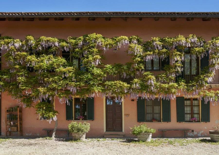 70 M² Agriturismo ∙ 1 Camera Da Letto ∙ 5 Ospiti - Alba, CN