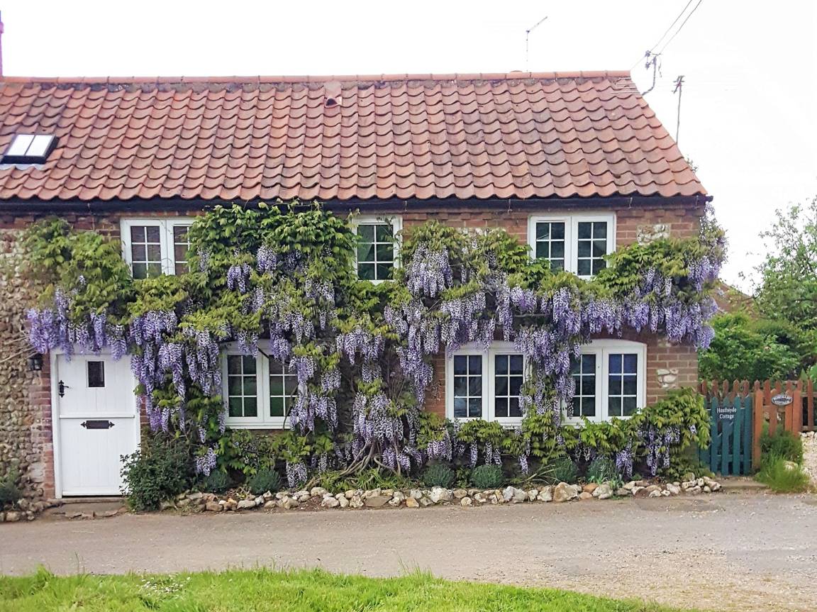 Cottage ∙ 3 Bedrooms ∙ 5 Guests - Wells-next-the-Sea
