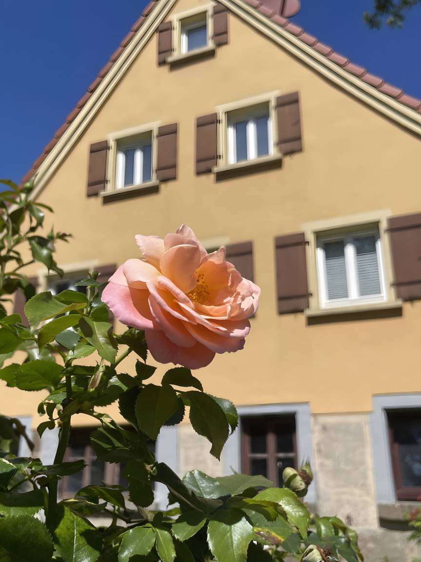 50 M² Ferienwohnung ∙ 1 Schlafzimmer ∙ 2 Gäste - Crailsheim