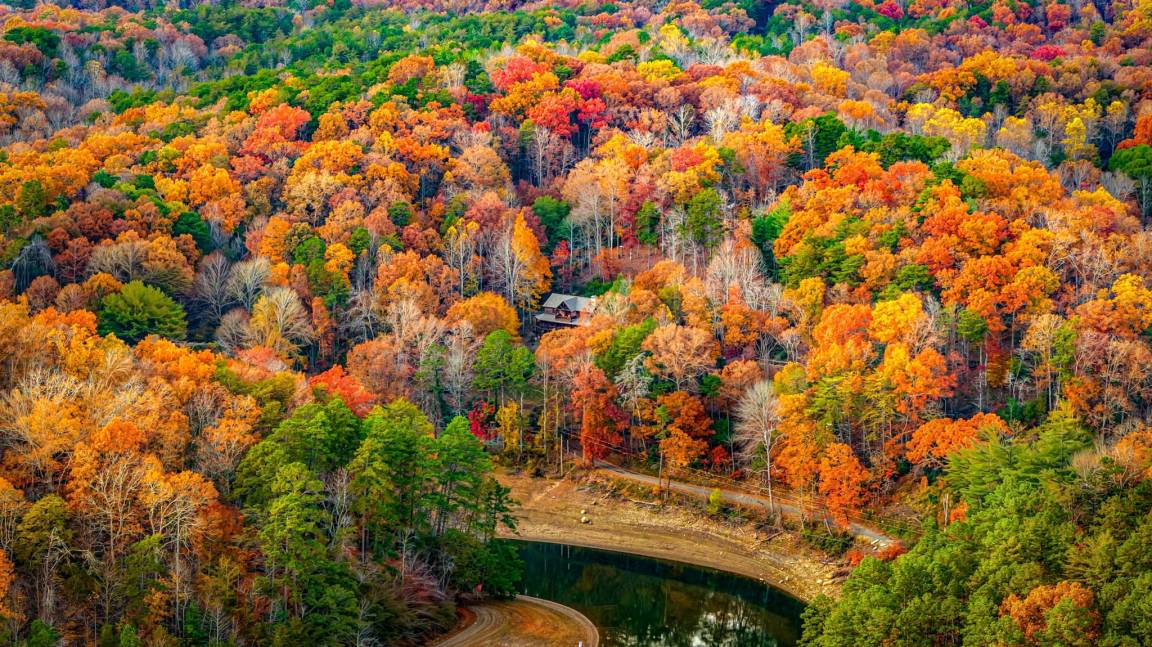 Cabin ∙ 4 Bedrooms ∙ 10 Guests - Blue Ridge, GA