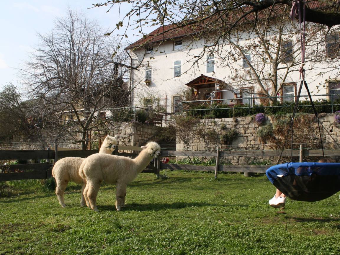 34 M² Apartment ∙ 1 Bedroom ∙ 4 Guests - Jena