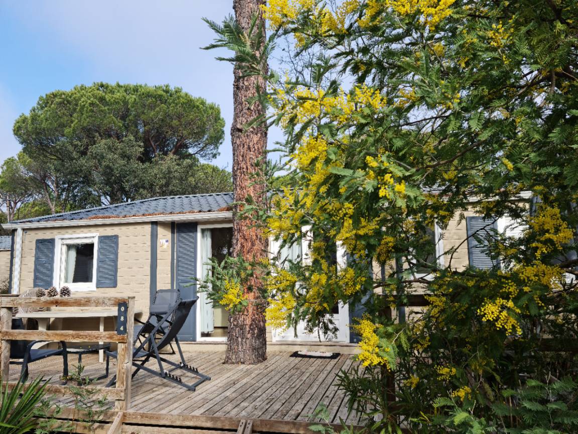 40 M² Campeggio ∙ 2 Camere Da Letto ∙ 5 Ospiti - Le Cannet-des-Maures