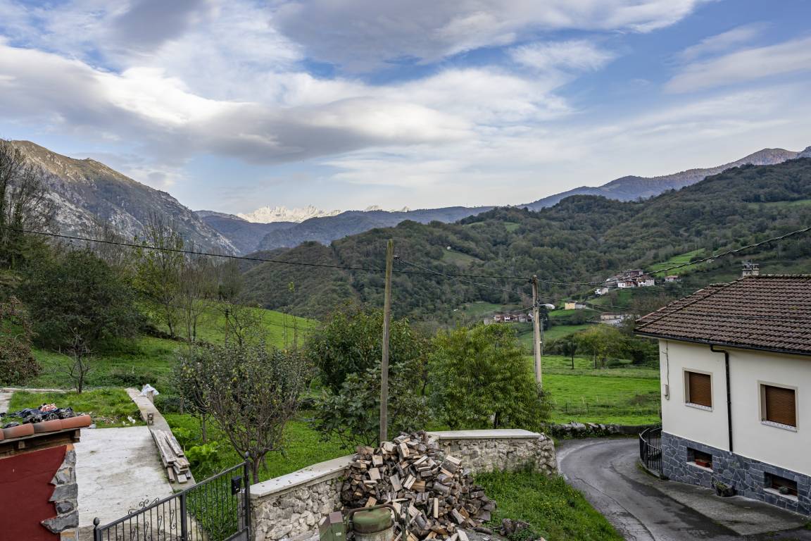50 M² Cottage ∙ 2 Bedrooms ∙ 4 Guests - Ponga