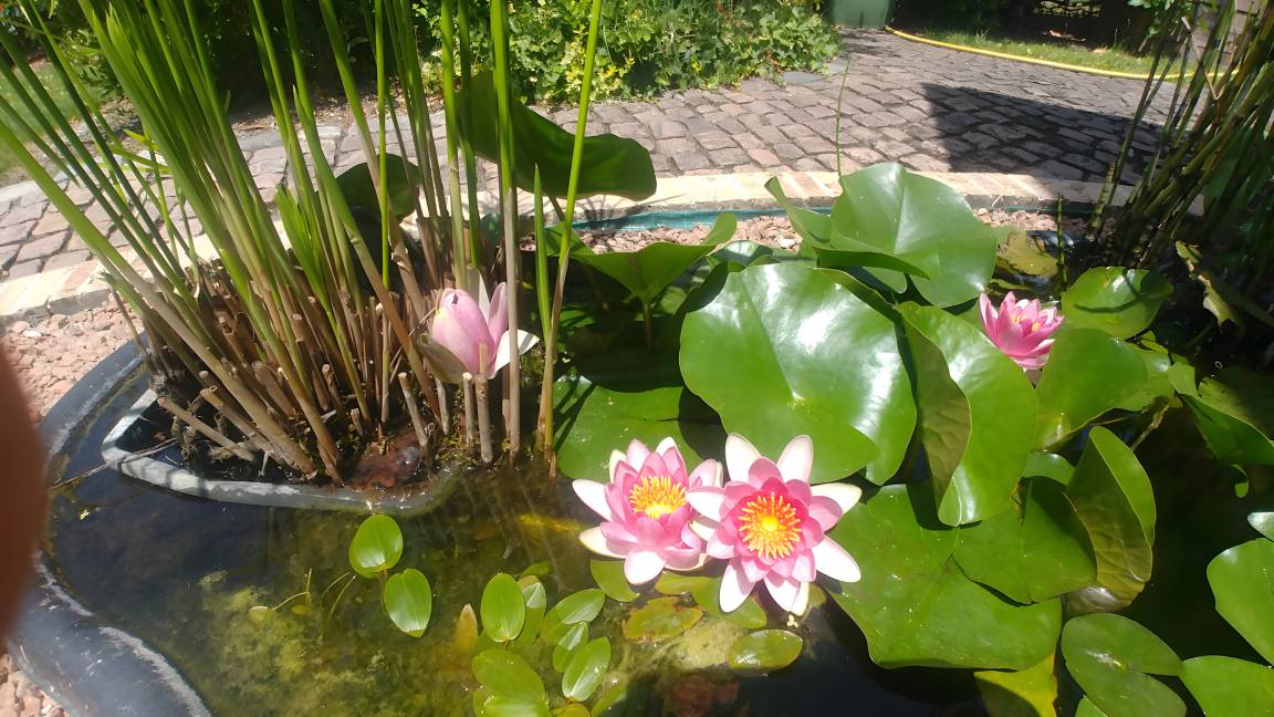 30 M² Bed & Breakfast ∙ 2 Habitaciones ∙ 4 Huéspedes - Burdeos