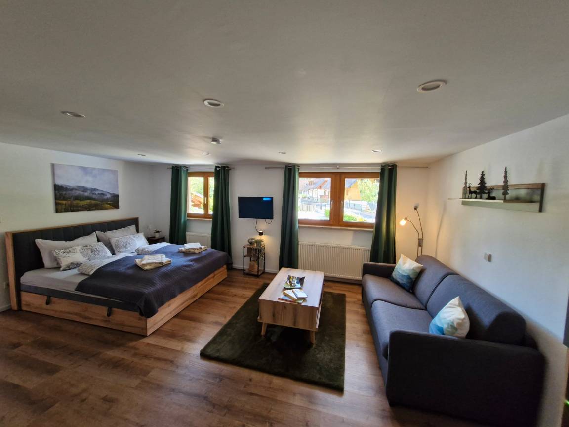 45 M² Studio ∙ 4 Gäste - Elzach