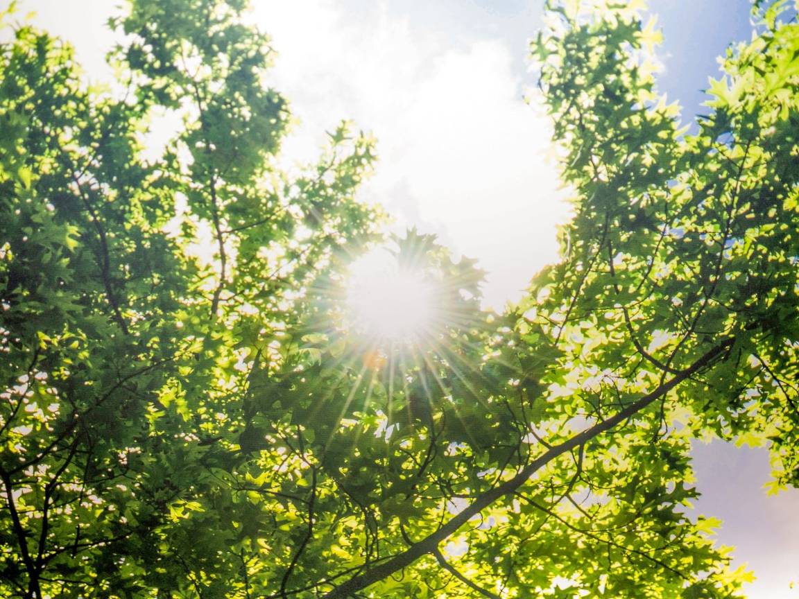 180 M² Appartement ∙ 5 Slaapkamers ∙ 14 Gasten - Gengenbach