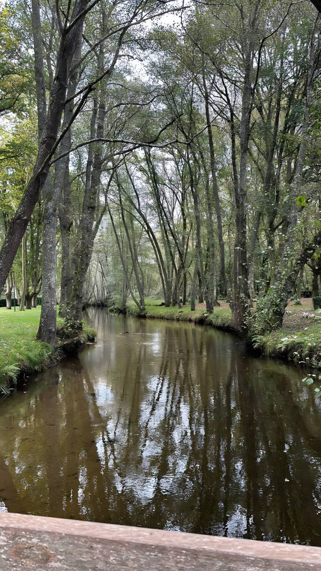 65 M² Apartamento ∙ 2 Quartos ∙ 4 Hóspedes - Allariz