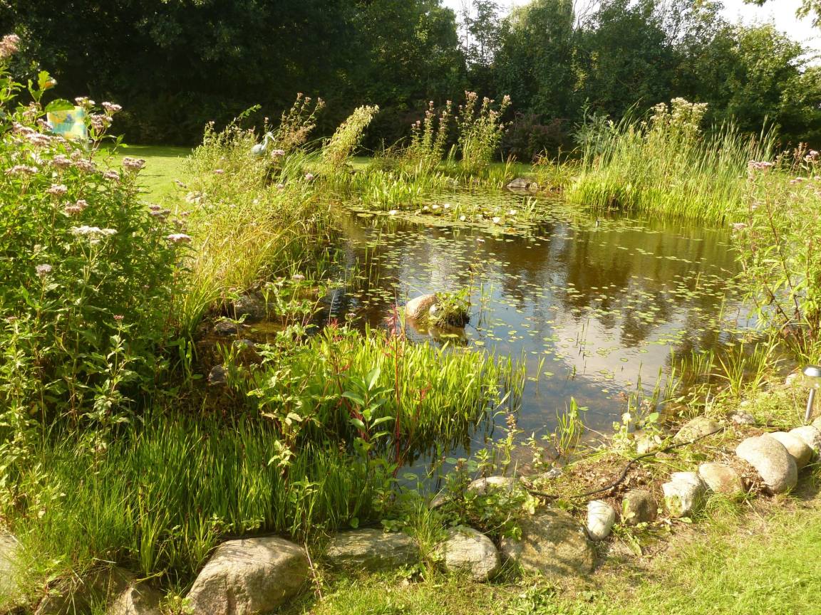 45 M² Ferienwohnung ∙ 1 Schlafzimmer ∙ 4 Gäste - Hattstedt