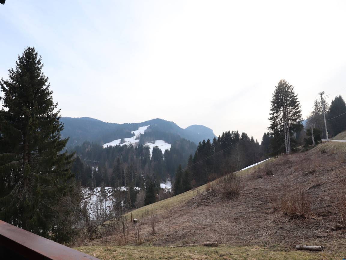 35 M² Appartement ∙ 1 Chambre ∙ 4 Personnes - Les Gets