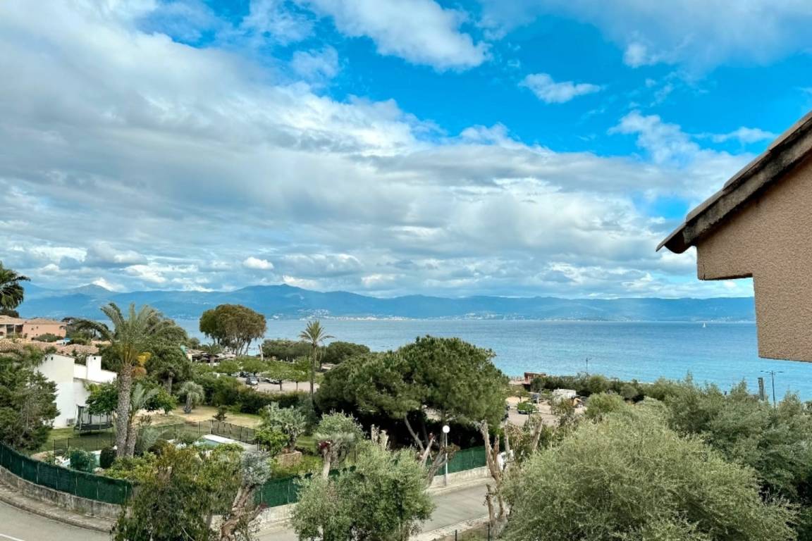 37 M² Apartment ∙ 1 Bedroom ∙ 4 Guests - Ajaccio